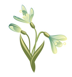 Snowdrop Vector Images (over 4,400)