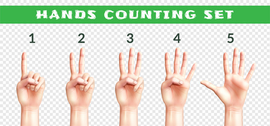 Counting showing various finger combinations Vector Image