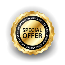 Special offer gold label template Royalty Free Vector Image