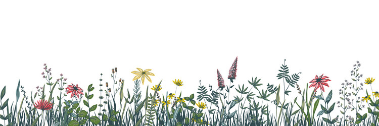 Horizontal Flower Border Clipart