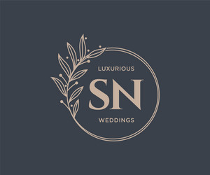 Sn initials letter wedding monogram logos Vector Image