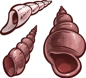 Seashells set marine animal shells cartoon art Vector Image
