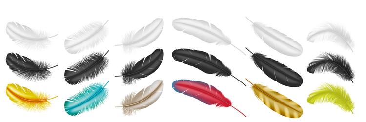 Plume Vector Images (over 12,000)