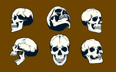 Skull Front Facing Vector Images (over 1,500)