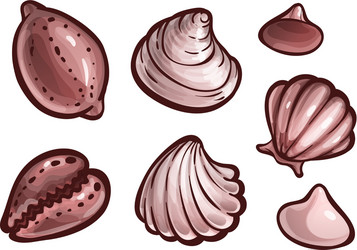 Cowrie Shells Vector Images (over 190)