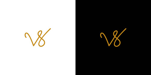 Modern and attractive vs initials logo design Vector Image