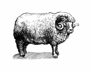 Ram Outline Vector Images (over 4,900)