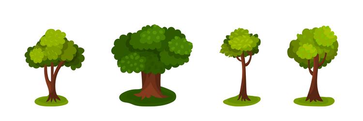 Tall Oak Tree Vector Images (over 470)
