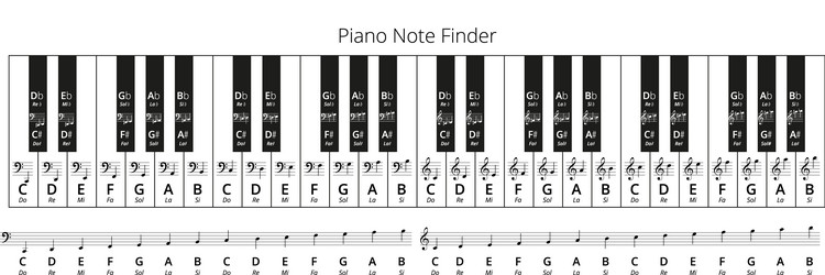 Piano keys and notes Royalty Free Vector Image