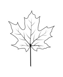 Autumn mandala tribal doodle with maple leaf Vector Image