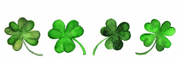Watercolor clover shamrock flower set isolated Vector Image