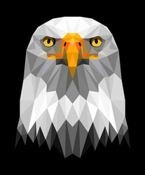 Eagle Triangle Head Vector Images (over 110)