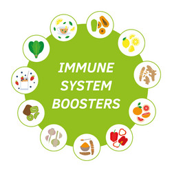 Human health immune system boosters Royalty Free Vector