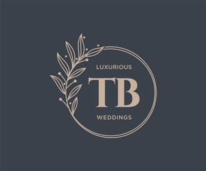 Tb initials letter wedding monogram logos Vector Image