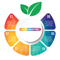 Vertical green infographics or time line Vector Image