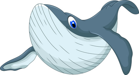 Cute gray whale cartoon smiling Royalty Free Vector Image