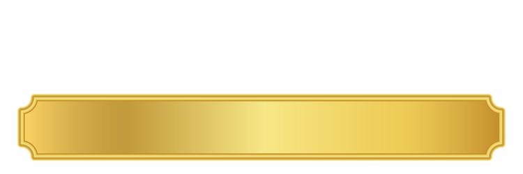 Gold label banner luxury golden frame name Vector Image