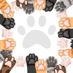 Different color cat paws icon collection cute cat Vector Image
