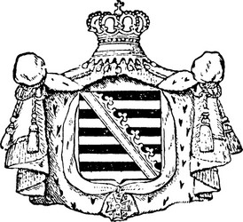 Blank template of coat arms - shield Royalty Free Vector