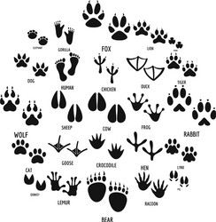 Lynx Footprint Vector Images (51)