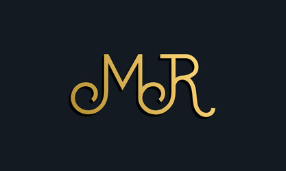 Initial letters mr monogram logo design bundle Vector Image