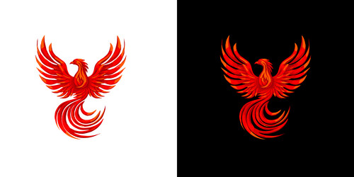 Abstract red phoenix logo design template on black
