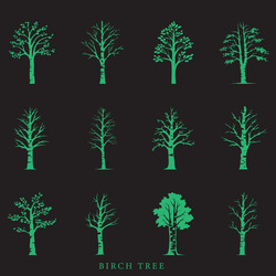 Tree Canopy Vector Images (over 1,700)