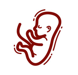 Human fetus embryo womb unborn child linear icon Vector Image