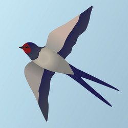 Barn Swallow Vector Images (over 230)