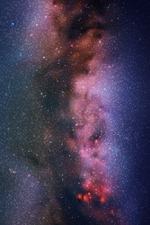 Night starry sky and milky way space vertical Vector Image