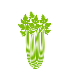Celery cut cartoon Royalty Free Vector Image - VectorStock