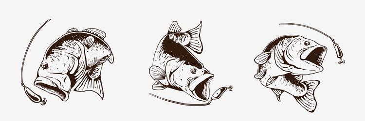 Fishing Line Logo Vector Images (over 23,000)