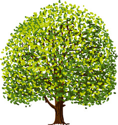 Tree Drawing Vector Images (over 230,000)