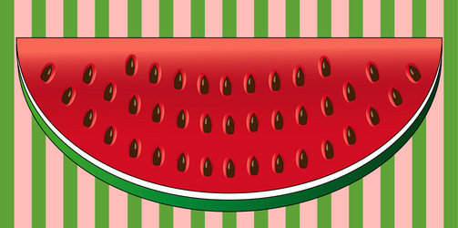 Watermelon slice background with seed and skin Vector Image