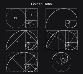 Set of golden ratio element Royalty Free Vector Image