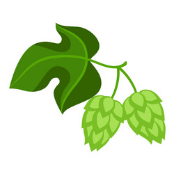 Hops Vector Images (over 44,000)