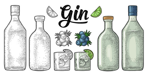Juniper Gin Drawing Vector Images (96)