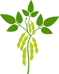Soybean Plant Silhouette Vector Images (over 110)