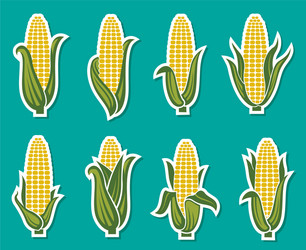 Corn Maize Vector Images (over 10,000)