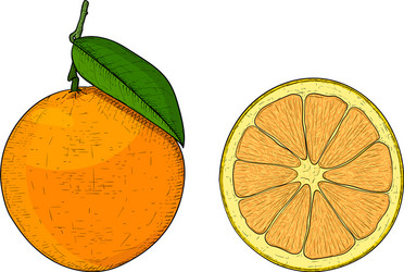How To Draw An Orange Slice