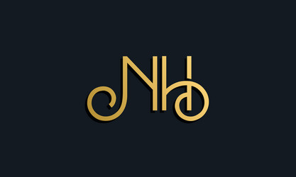 Elegant luxury letter nh logo Royalty Free Vector Image