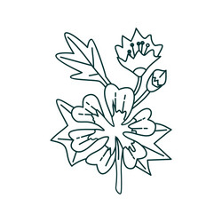 Daisy flower design stroke Royalty Free Vector Image