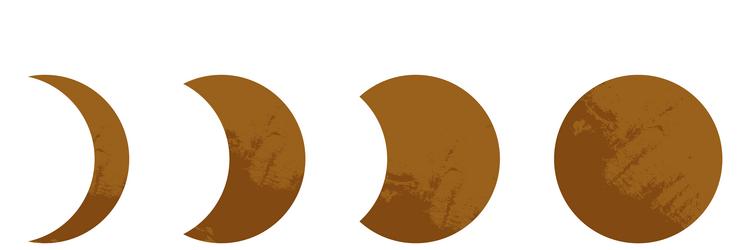 Astrology constellations and golden moon phases Vector Image