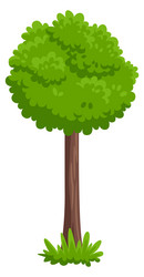 Green tree symbol creative element for park Vector Image