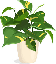 Pothos Vector Images (over 230)