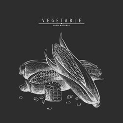 Corn Vector Images (over 100,000)