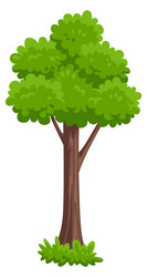 Cartoon tree green forest plant landscape Vector Image