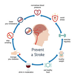 Infographics for stroke for stroke Royalty Free Vector Image