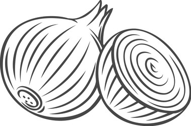 Onion Outline Vector Images (over 6,400)