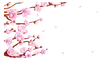 Background Pink Sakura Vector Images (over 13,000)